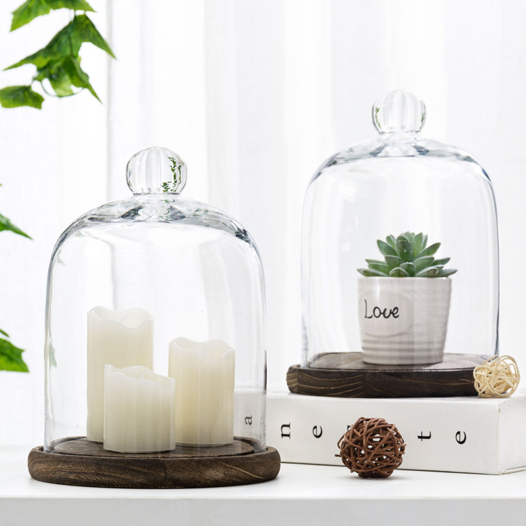 Gracie Oaks Khyanna Dome Cloche Wayfair